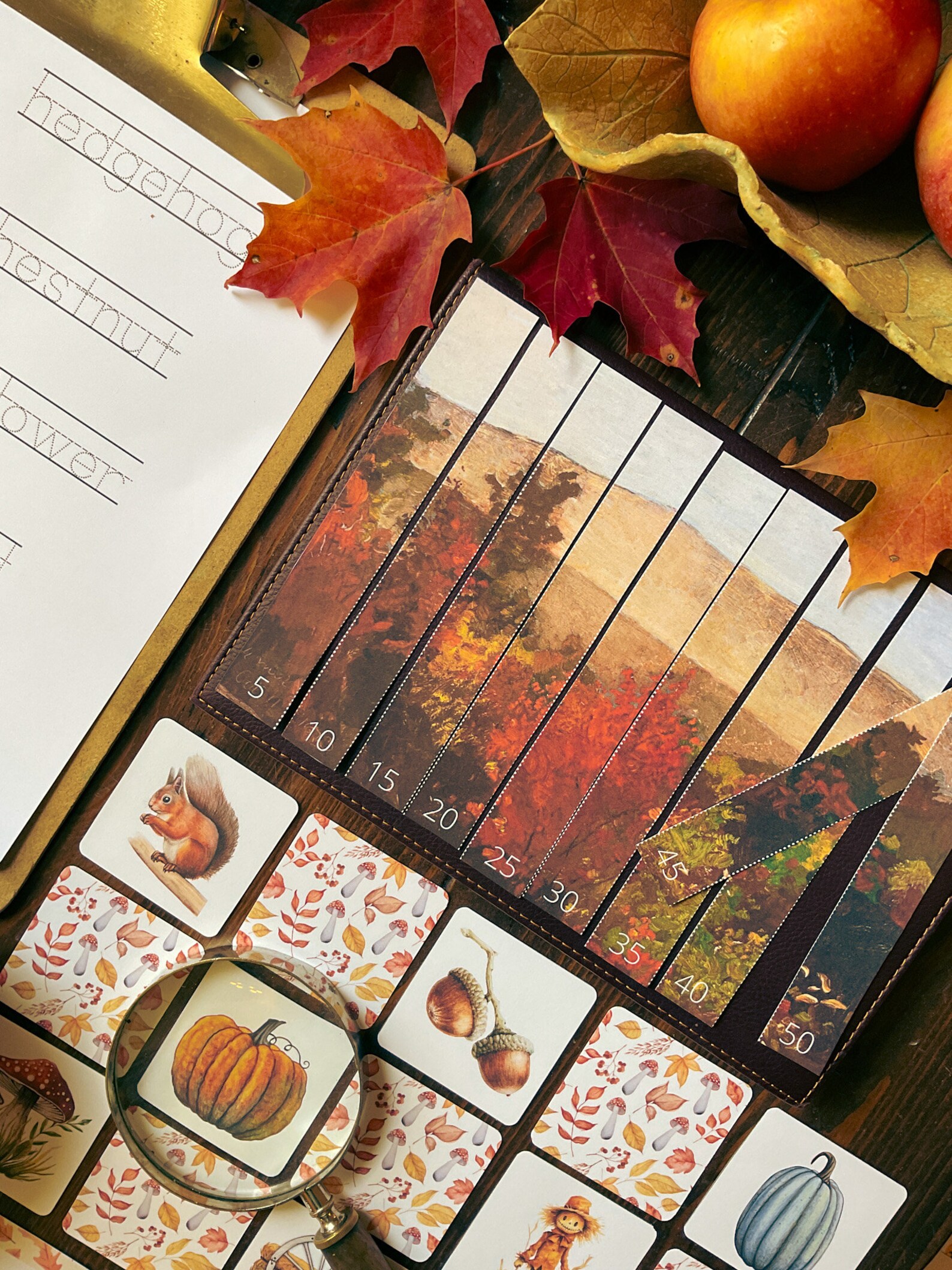 Autumn Early Learning Unit: Preschool & Kindergarten Activities (PDF ...