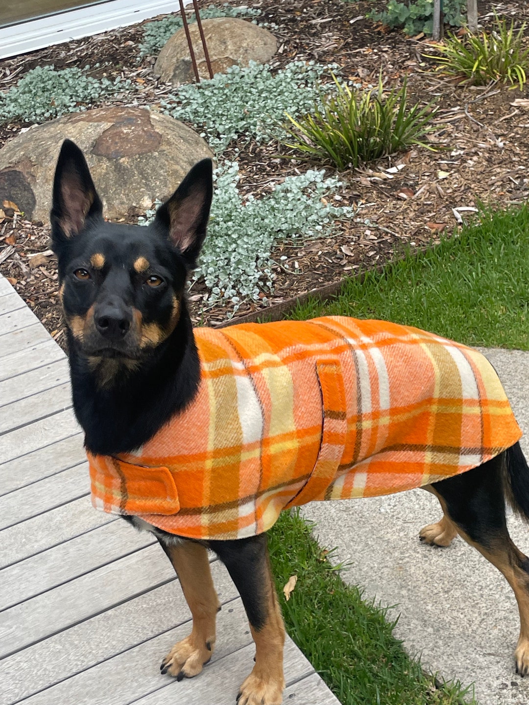 Dog Coats, Wool Dog Coat, Sustainable Dog Coats, Recycled Wool, Dog ...