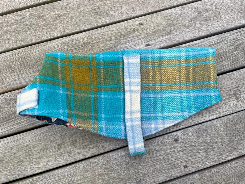 Dachshund Dog Coats, Wool Dog Coat, Sustainable Dog Coats, Recycled ...