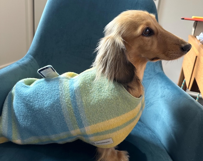 Dachshund Dog Coats, Wool Dog Coat, Sustainable Dog Coats, Recycled ...