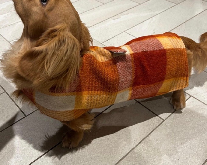 Dachshund Dog Coats, Wool Dog Coat, Sustainable Dog Coats, Recycled ...