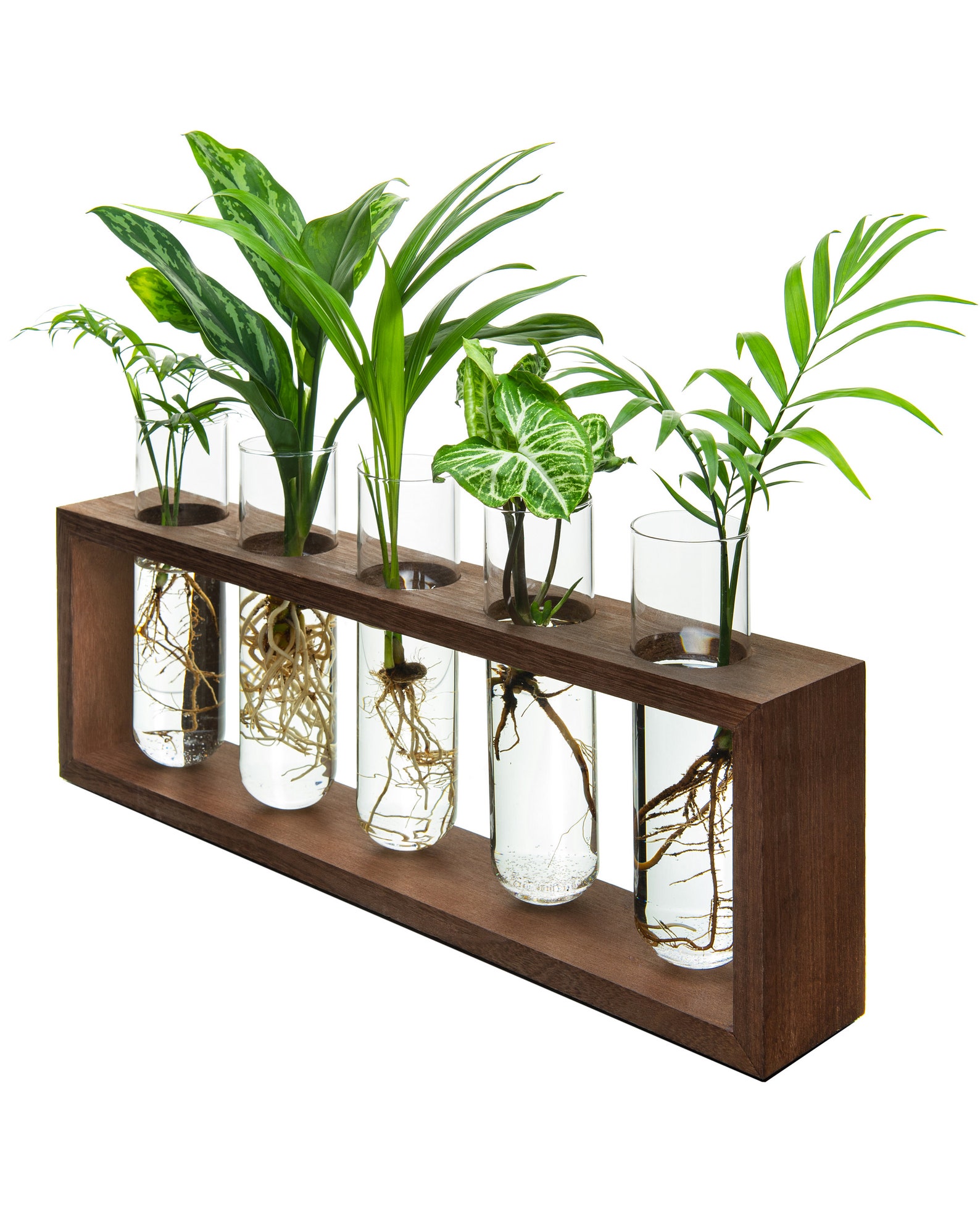 Extra Large Propagation Station With 2 Hooks Hang or Stand - Etsy