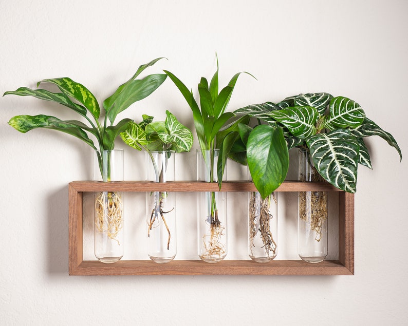 Extra Large Propagation Station With 2 Hooks Hang or Stand - Etsy