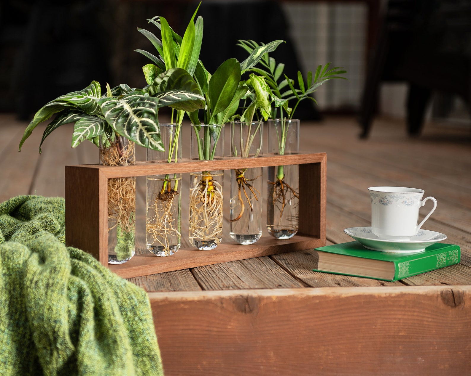 Extra Large Propagation Station With 2 Hooks Hang or Stand - Etsy