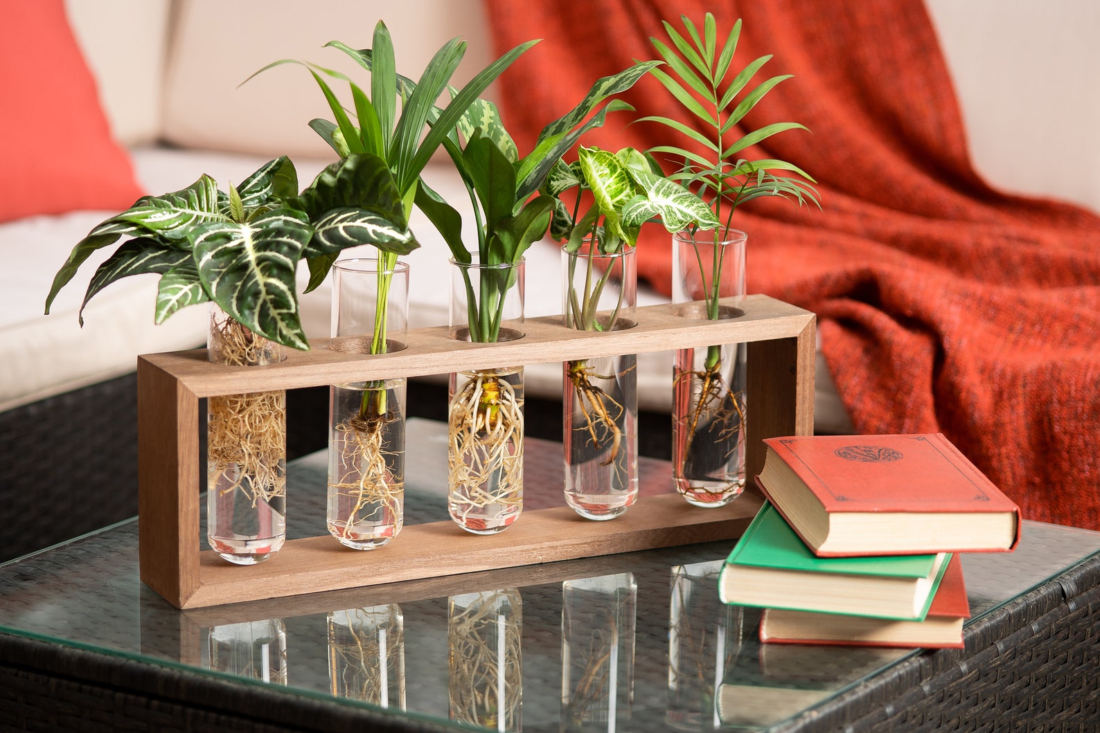 Extra Large Propagation Station With 2 Hooks Hang or Stand - Etsy