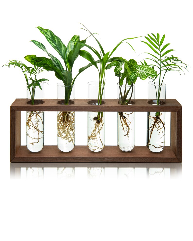 Extra Large Propagation Station With 2 Hooks Hang or Stand - Etsy