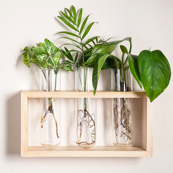 Propagation Tubes - Etsy