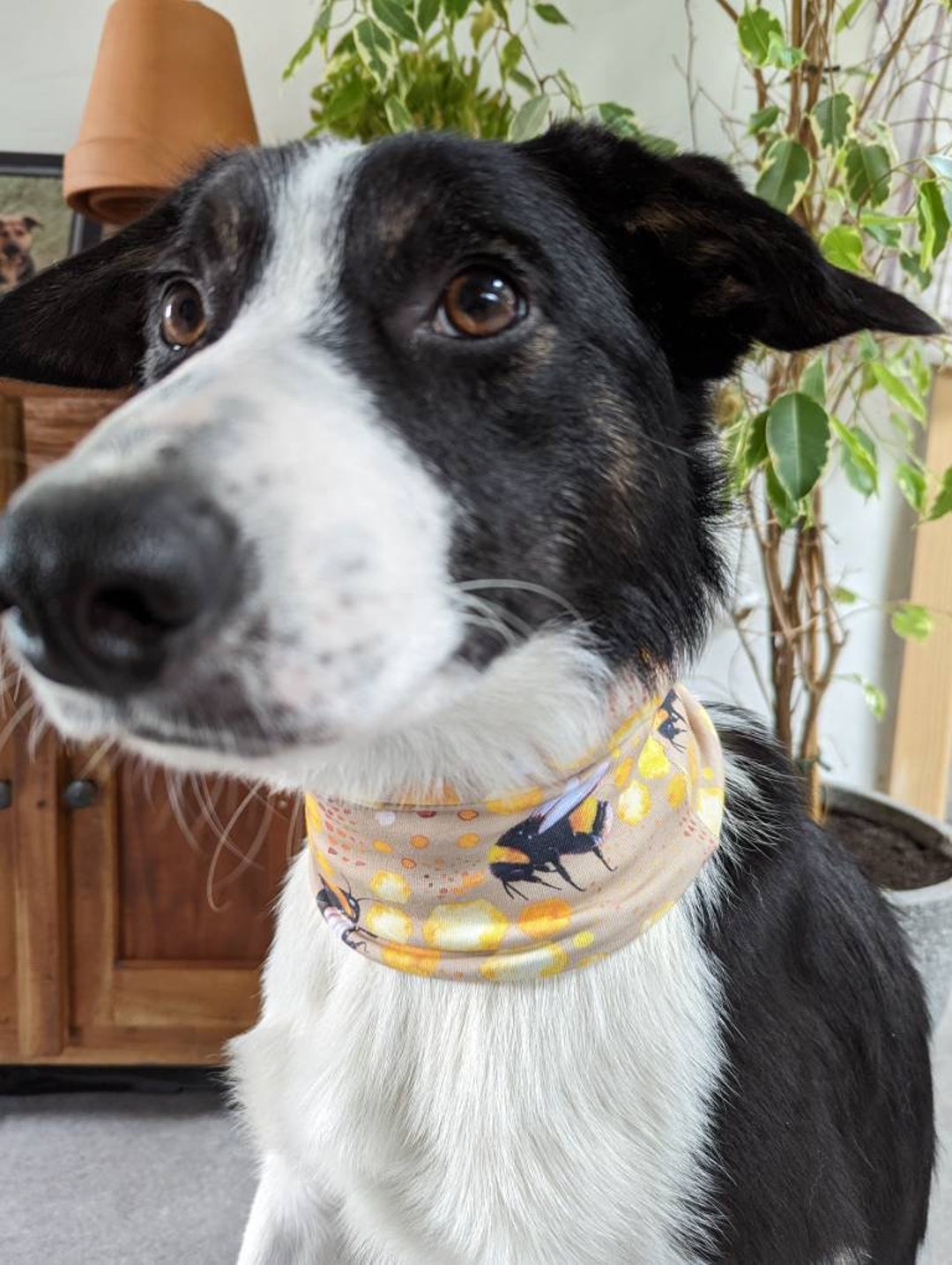 Bee Dog Gift, Mama and Me, Matching Snoods, Mama and Me Snoods, Snoods ...