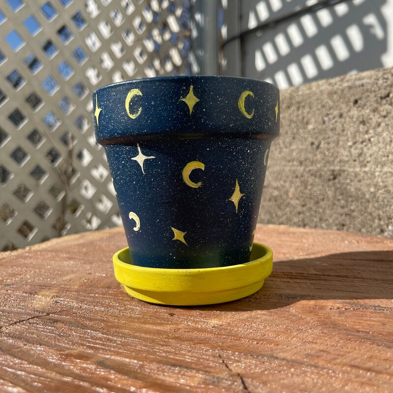 Moon Plant Pot - Etsy