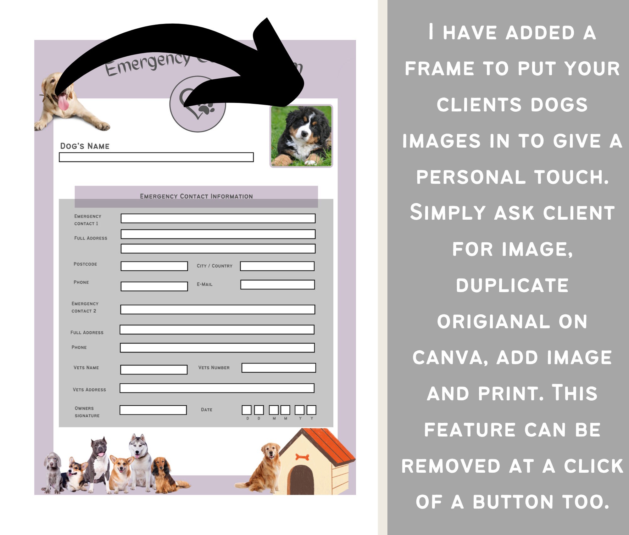 Dog Grooming Report Card. Dog Salon Report Card. Dog Business - Etsy