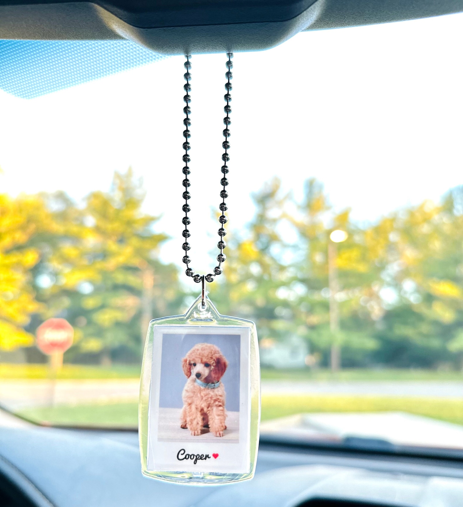 Personalized Photo Car Ornament, Custom Car Hanging, Customized Car ...