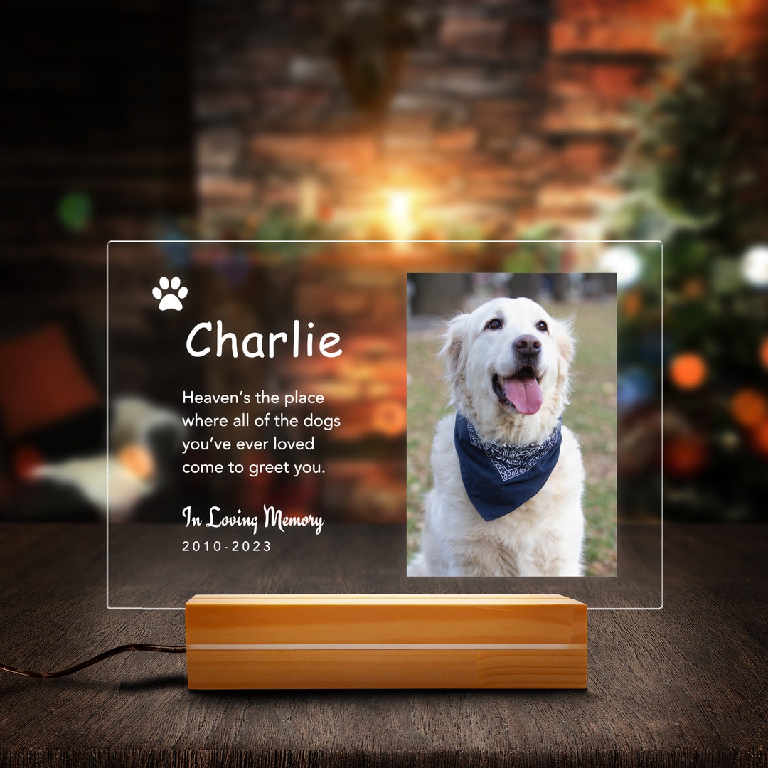 Custom Pet Memorial Gift, Personalized Pet Loss Gift, Cat Loss LED ...