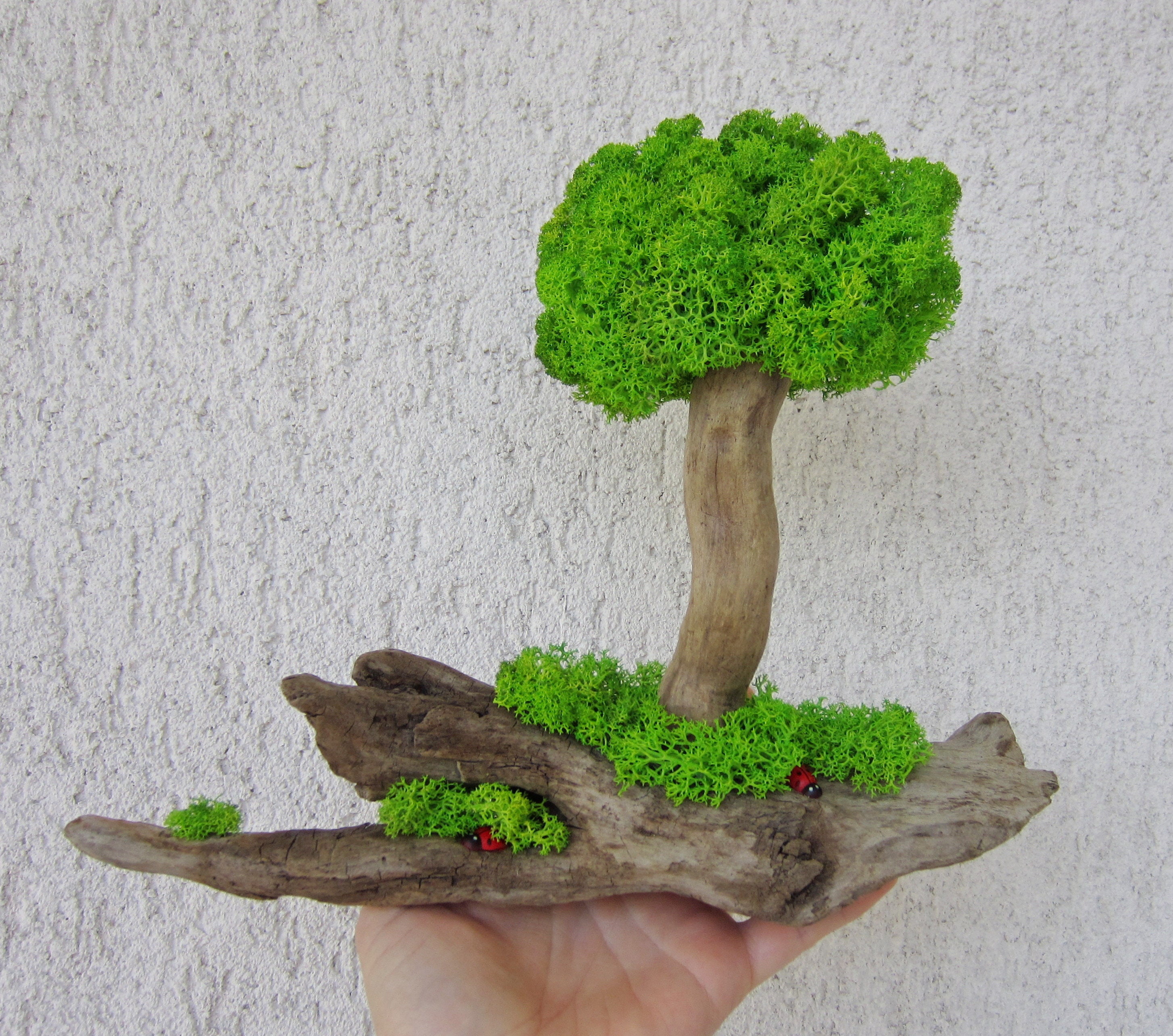 Scandinavian Moss Tree Bonsai Plant Home Decor Driftwood and - Etsy