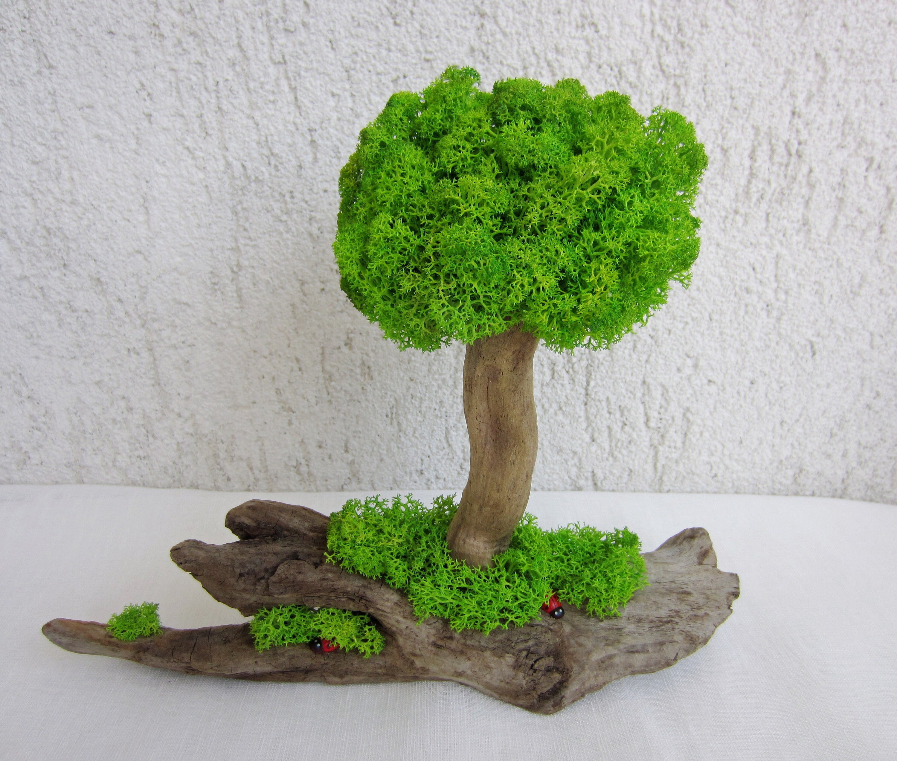 Scandinavian Moss Tree Bonsai Plant Home Decor Driftwood and - Etsy