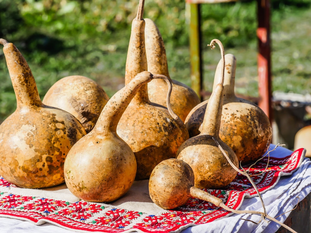Dried Gourds With Seeds for Crafts and Art Projects - Etsy