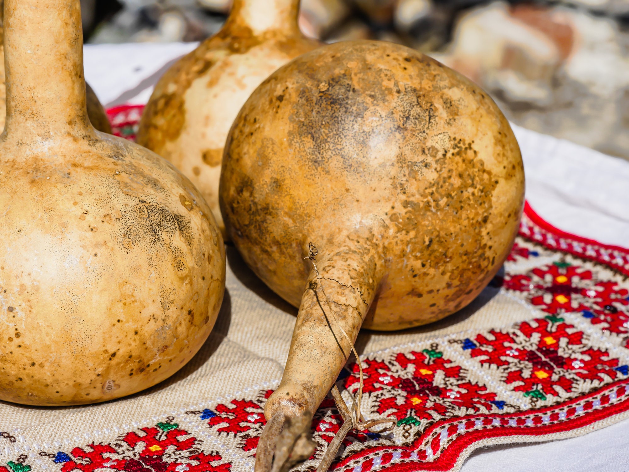 Dried Gourds With Seeds for Crafts and Art Projects - Etsy