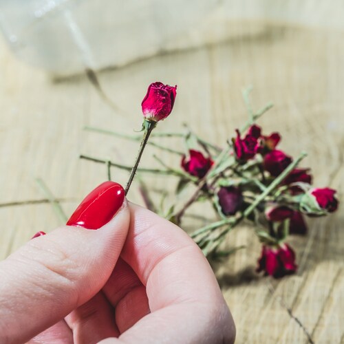 Bunch of Mini Dried Roses Naturally Dried Roses Crafts - Etsy