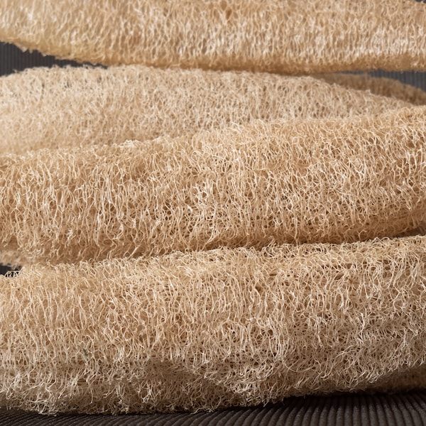Luffa Sponge - Etsy