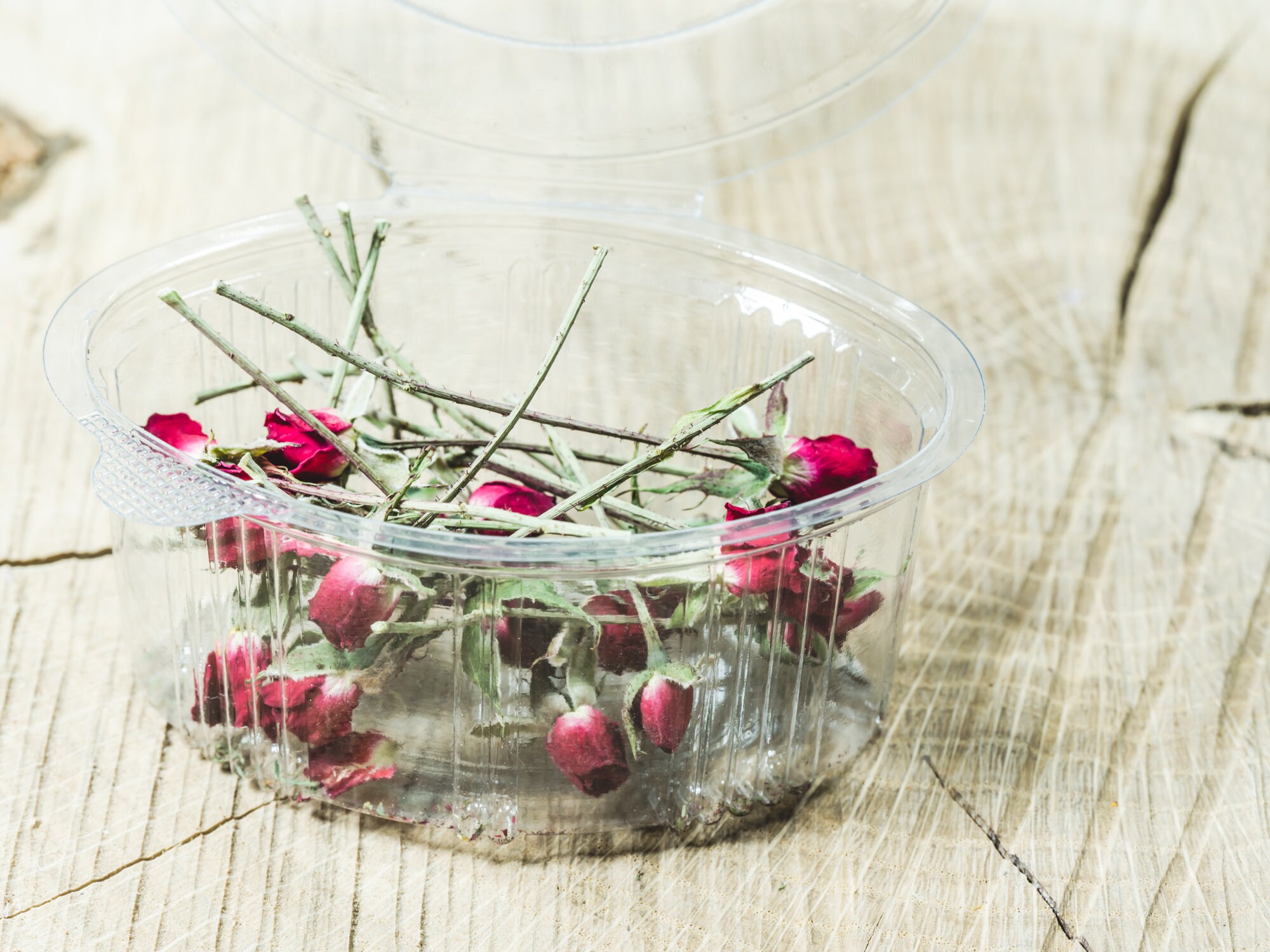 Mini Roses With a Handle 15 Pcs. Natural Dried Flowers - Etsy