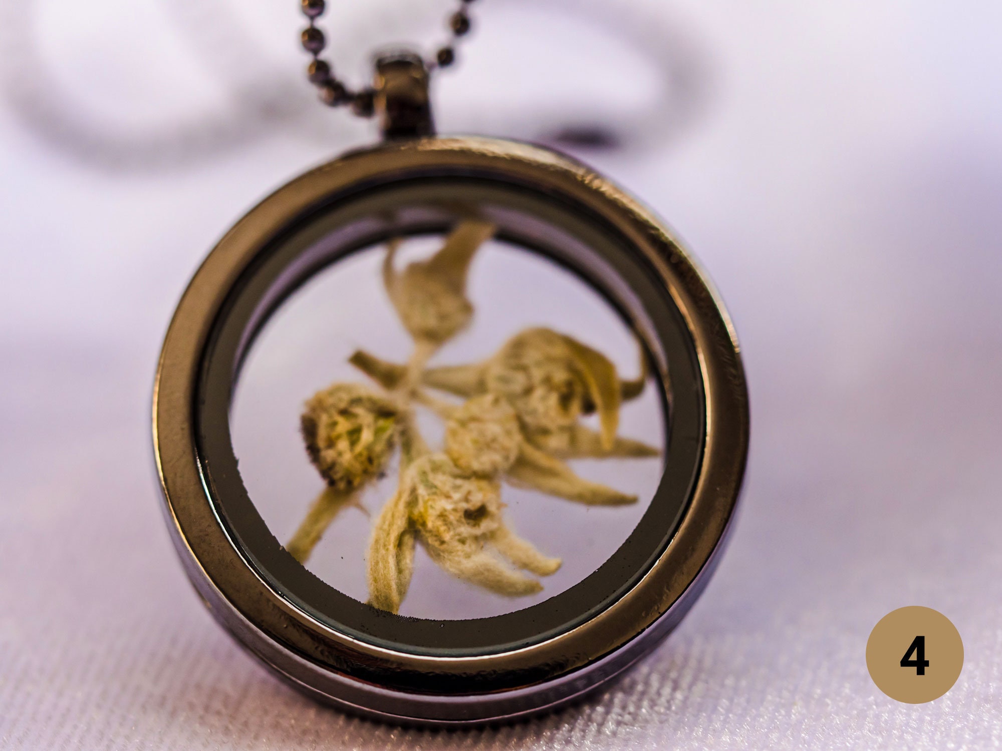 Locket With Real Pressed Edelweiss Flower, Dried Edelweiss Locket - Etsy