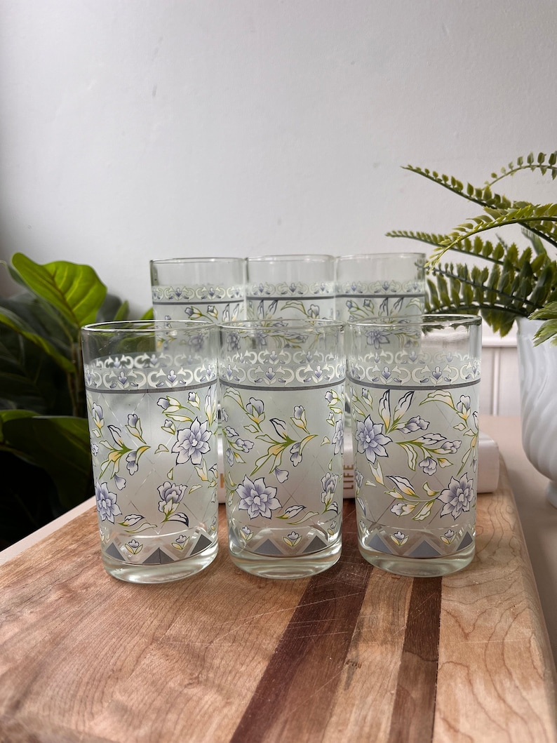 Vintage 1980s Frosted Pastel Floral Drinking Glasses, Retro Tumblers ...