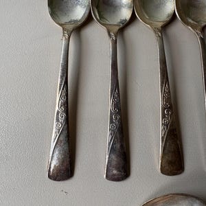 Vintage 1950s Revelation Precious Flower Silver Plated Flatware, Set of ...
