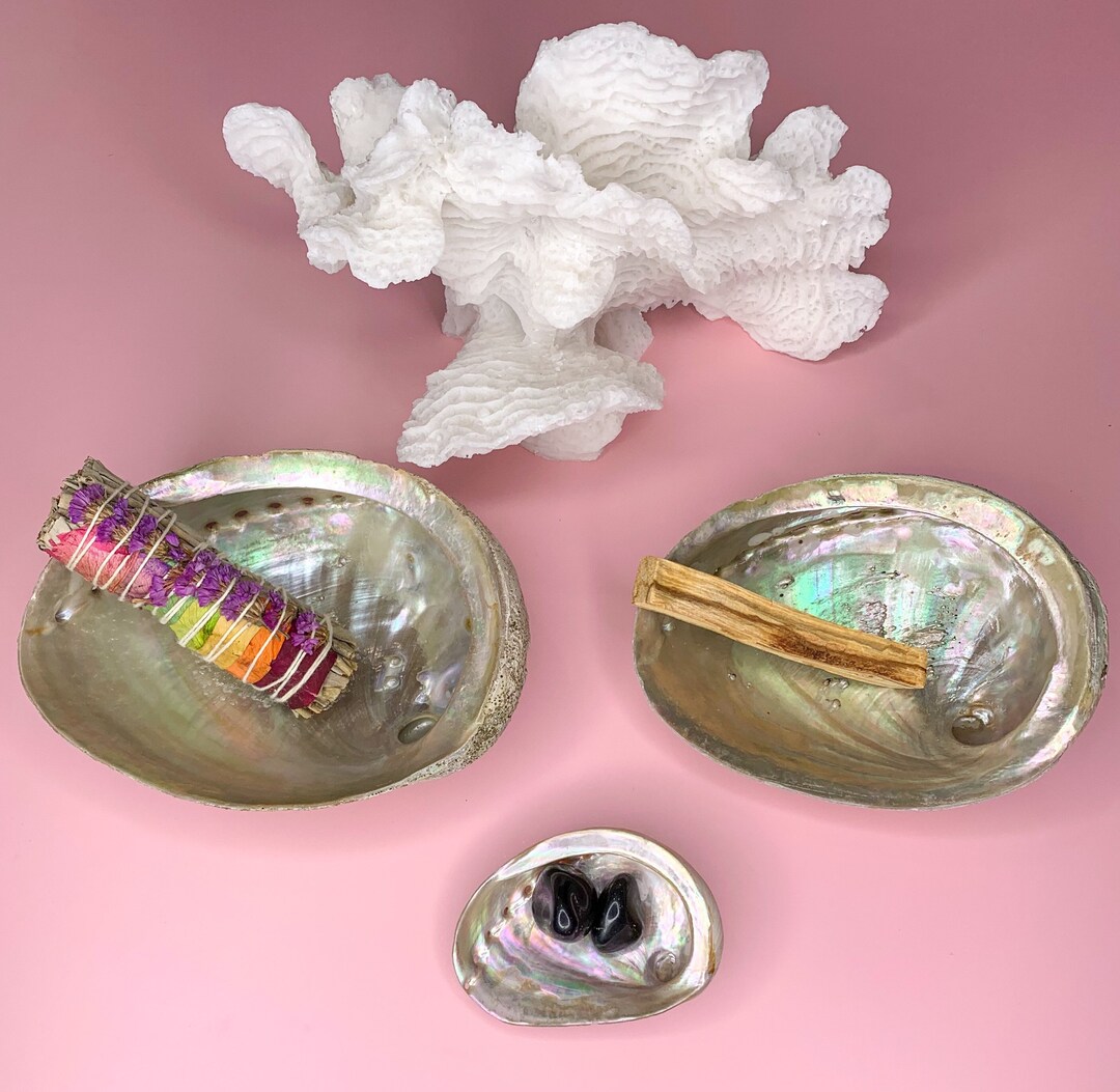 Sacred Abalone Extra Large Shell, Deep Dish Large Shell, Small Shell Natural, Raw ,unpolished ...