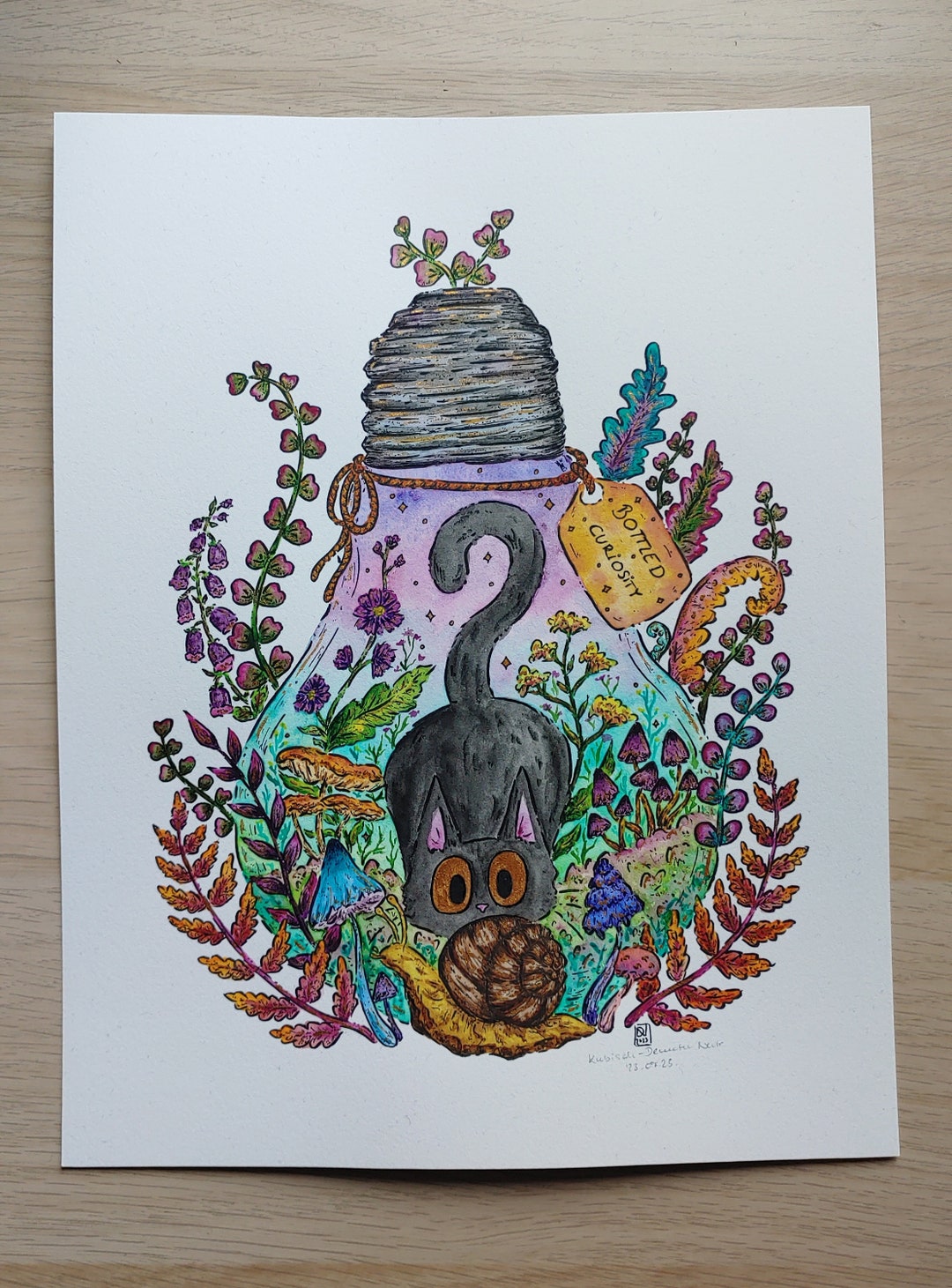 Original Bottled Curiosity Watercolor and Ink Painting - Etsy
