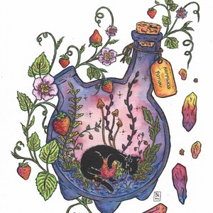 Happiness Potion Cat Watercolor Print A4 - Etsy