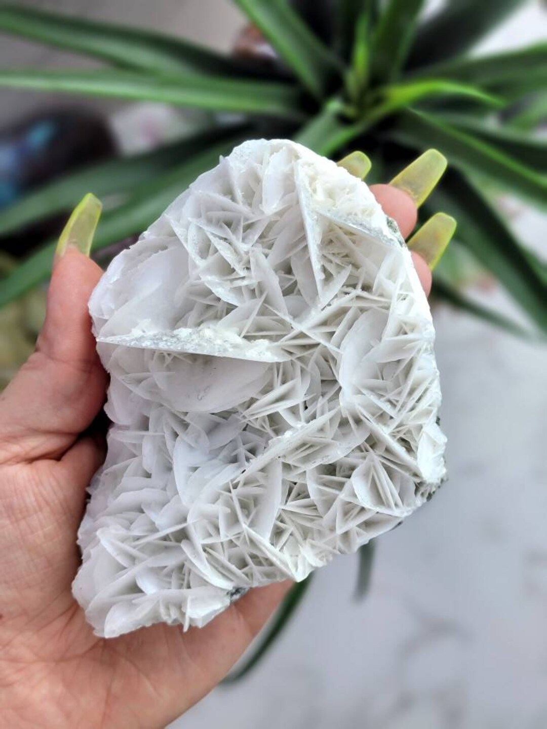 White Rose Calcite Raw Stone Raw Calcite Specimen Rough White Rose ...