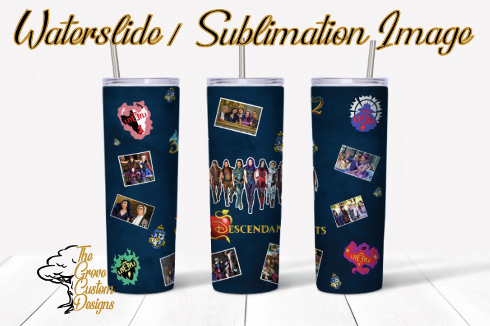 Descendants Water Slide, Template for Sublimation, 20 Oz Skinny Tumbler ...