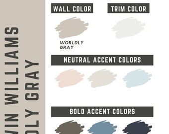 Worldly Gray by Sherwin Williams Interior Paint Color Palette, Interior ...