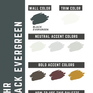 Behr Black Evergreen Whole Home Color Palette - Interior Paint Palette ...