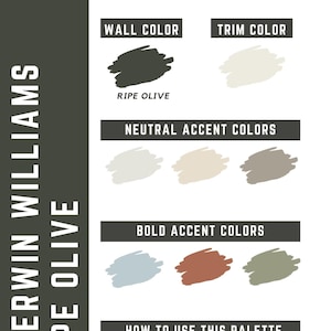 Ripe Olive Sherwin Williams Whole Home Color Palette - Interior Paint ...