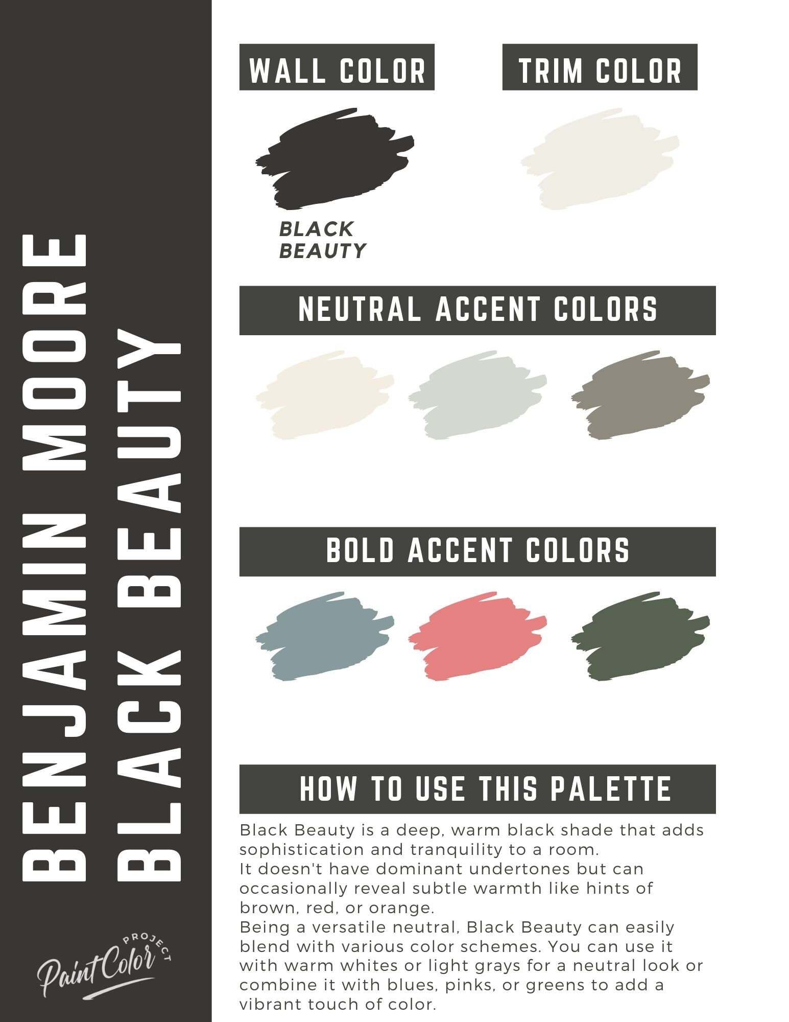 Black Beauty Benjamin Moore Whole Home Color Palette - Interior Paint ...