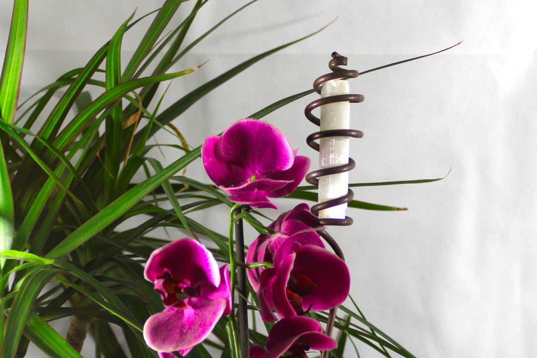 Squiggle Charging Wand Copper Selenite Crystal Garden - Etsy