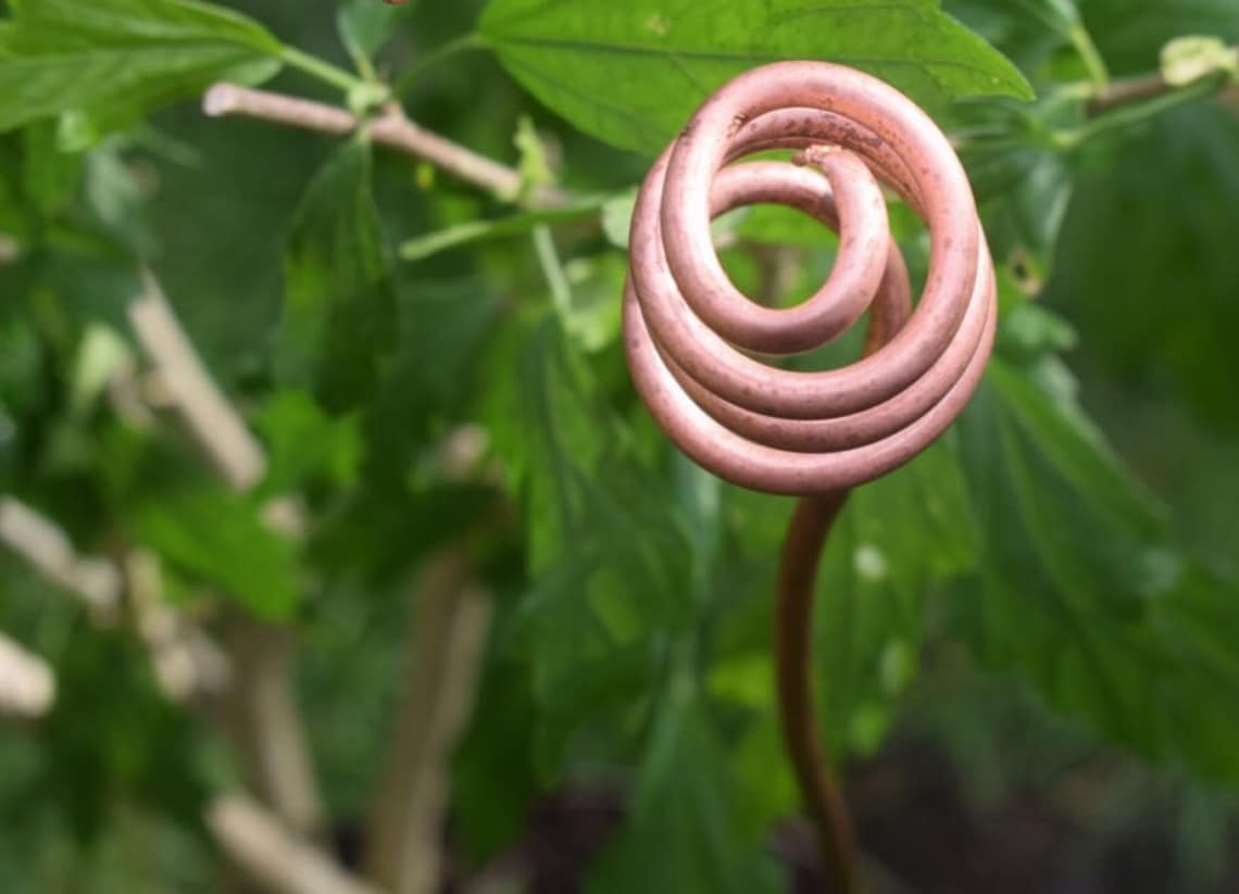 Squiggle Handmade Copper Garden Ornament Plant, Flower Single Stem ...