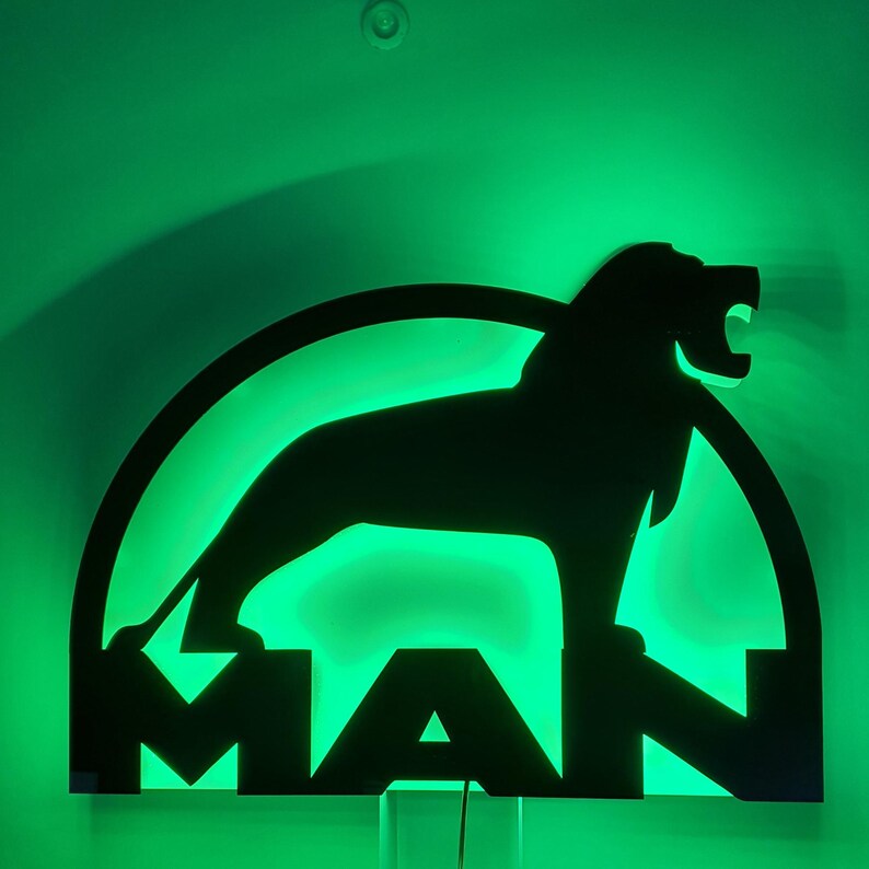 Phoenix Lights Man Truck Bulkhead LED Light Back Board Available in Red ...