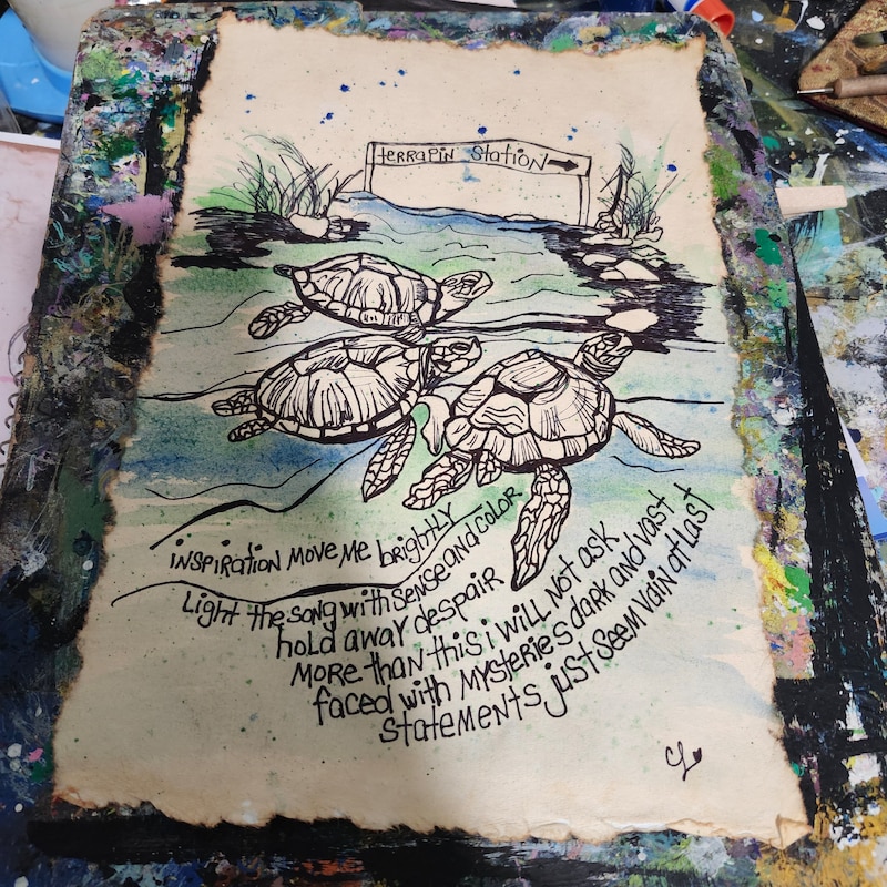 Terrapin - Etsy