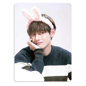 BTS Easter Bunny Boys Handmade Unofficial Photocards RM Jin SUGA Jhope ...
