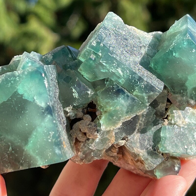 Fluorite Cubes - Etsy