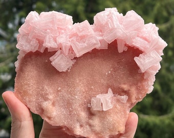 Light Pink Halite Crystal Specimen Nice Quality From Owens Lake ...