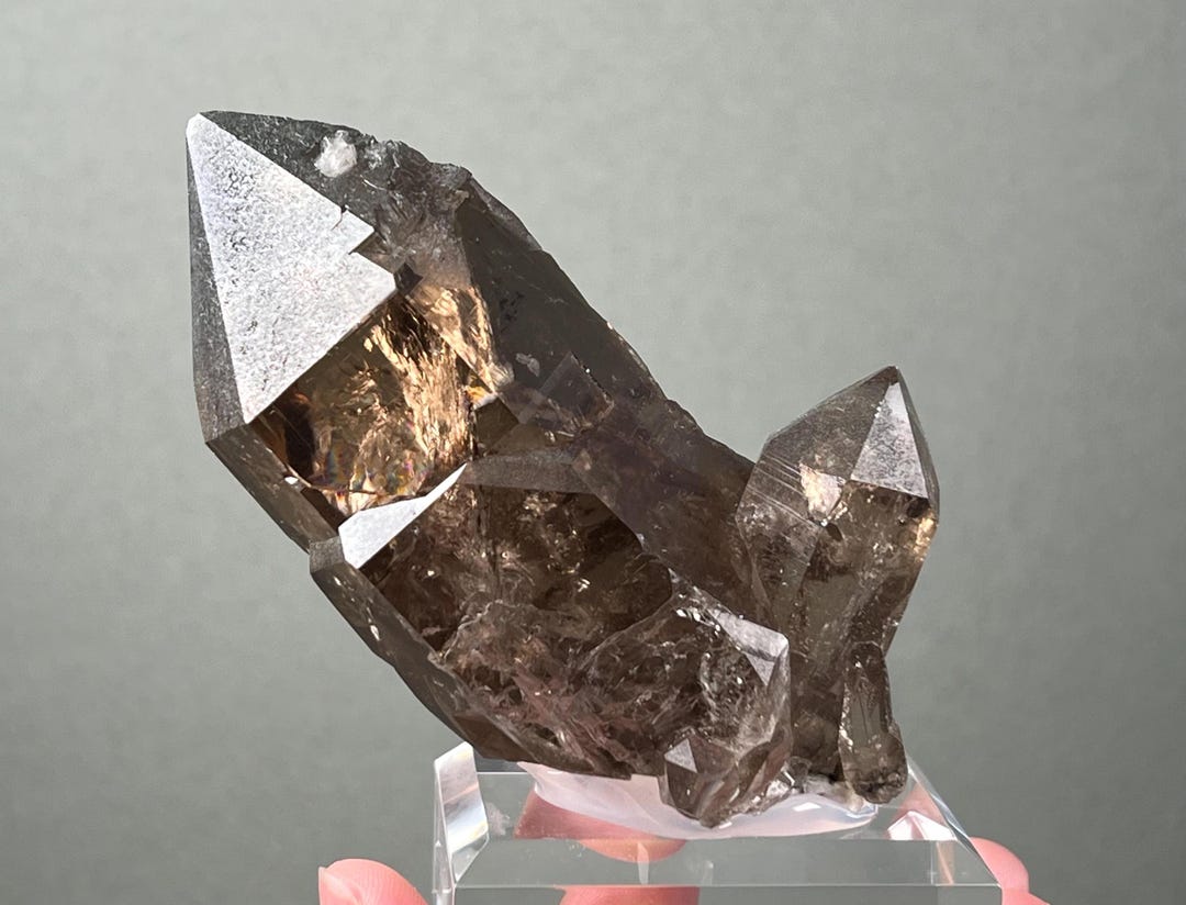 Swiss Smoky Quartz Crystal Point -- Nice Luster and Quality -- From Galenstock Mountain ...