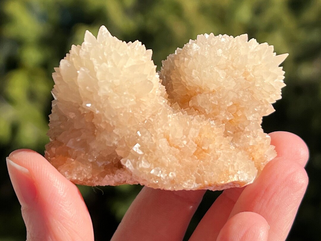 Light Yellow/cream Flower Calcite - Dogtooth Crystals and Botryoidal ...