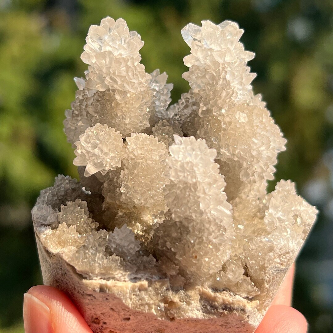 White/gray Flower Calcite With Dogtooth Crystals -- Fantastic Shape ...