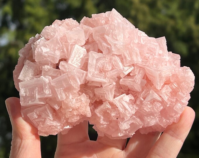 Light Pink Halite Crystal Specimen Nice Quality From Owens Lake ...