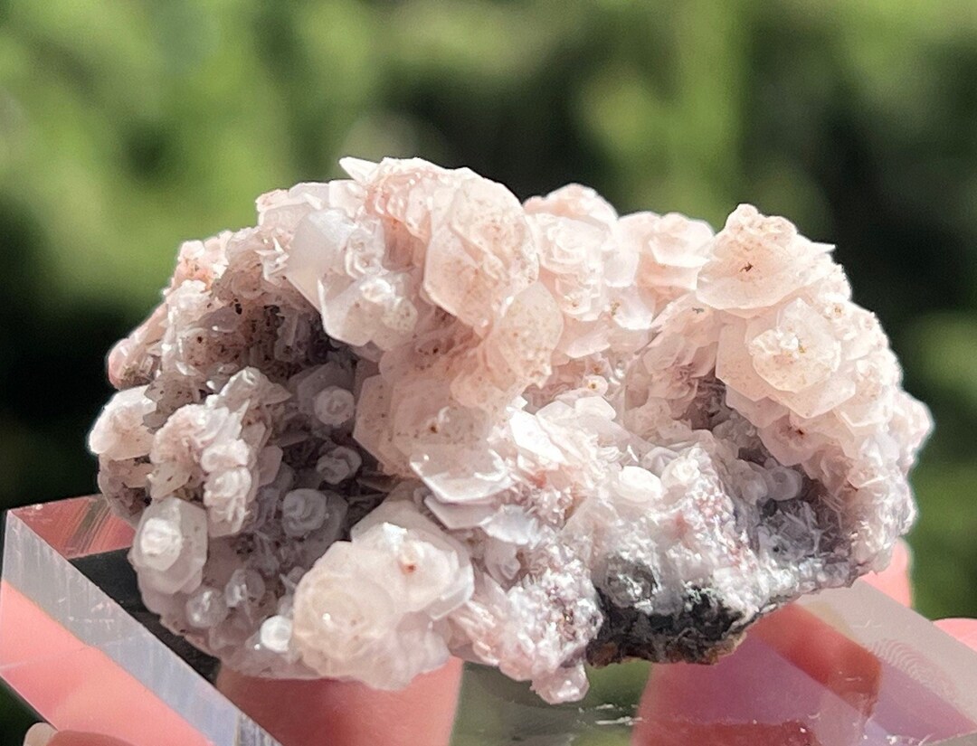 Inner Mongolia Pink Calcite Cluster -- Flower Shape -- From China - Etsy