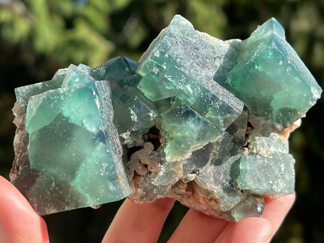 Lady Annabella Mine Green Fluorite Cube Cluster With Fluorescence ...