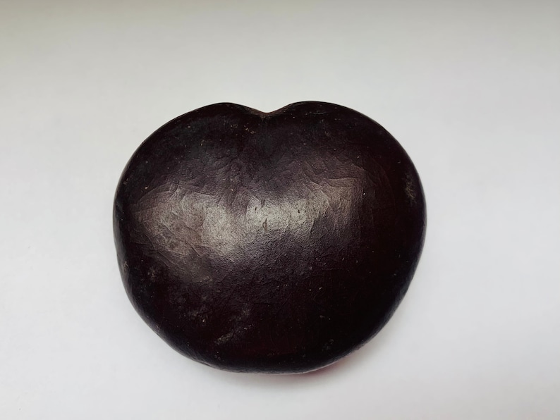 100% Natural Sea Bean Lucky Bean Heart Bean Drift Seeds 1 - Etsy