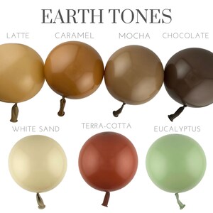 Caramel Premium Latex Balloons, MATTE, Individual Balloons for Party ...